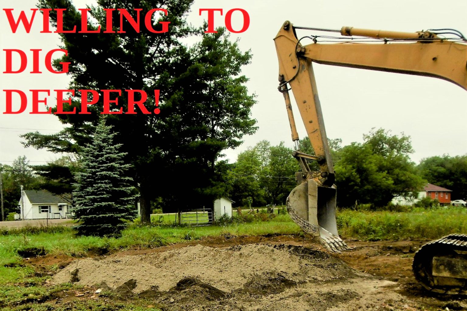 Willing to Dig Deeper - Lifeline